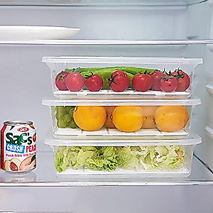 Frcctre Set of 5 Fridge Produce Saver Food Storage Containers Stackable Refrigerator Organizer Bins with Removable Drain Plate and Lid to Keep Produce Fruits Vegetables Meat Egg Fish, 2 Sizes