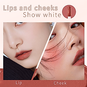 3 Pcs Nude Matte Lipstick Set,Nude Lipstick Velvet Air Moisture Smooth Crayon Lip Stain,Long Lasting Lipstick 24 Hour Waterproof Nourishing Lipstick with a Matte Finish, Lip Gloss Lipstick for Women (Set B)