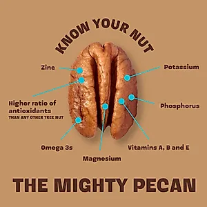 THIS PKN Pecan Nut Milk Chocolate Non Dairy Milk Alternative, Made from Real Texas Pecans, Plant Based Chocolate Milk, Made Without Added Sugars and No GMOs or Lactose (32oz, Pack of 6)