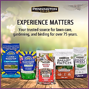 Pennington Pride Songbird Nut & Fruit Blend, Wild Bird Seed for Outside Feeders, Advanced Nutrition Formula for Bird Health, 10-lb. Bag