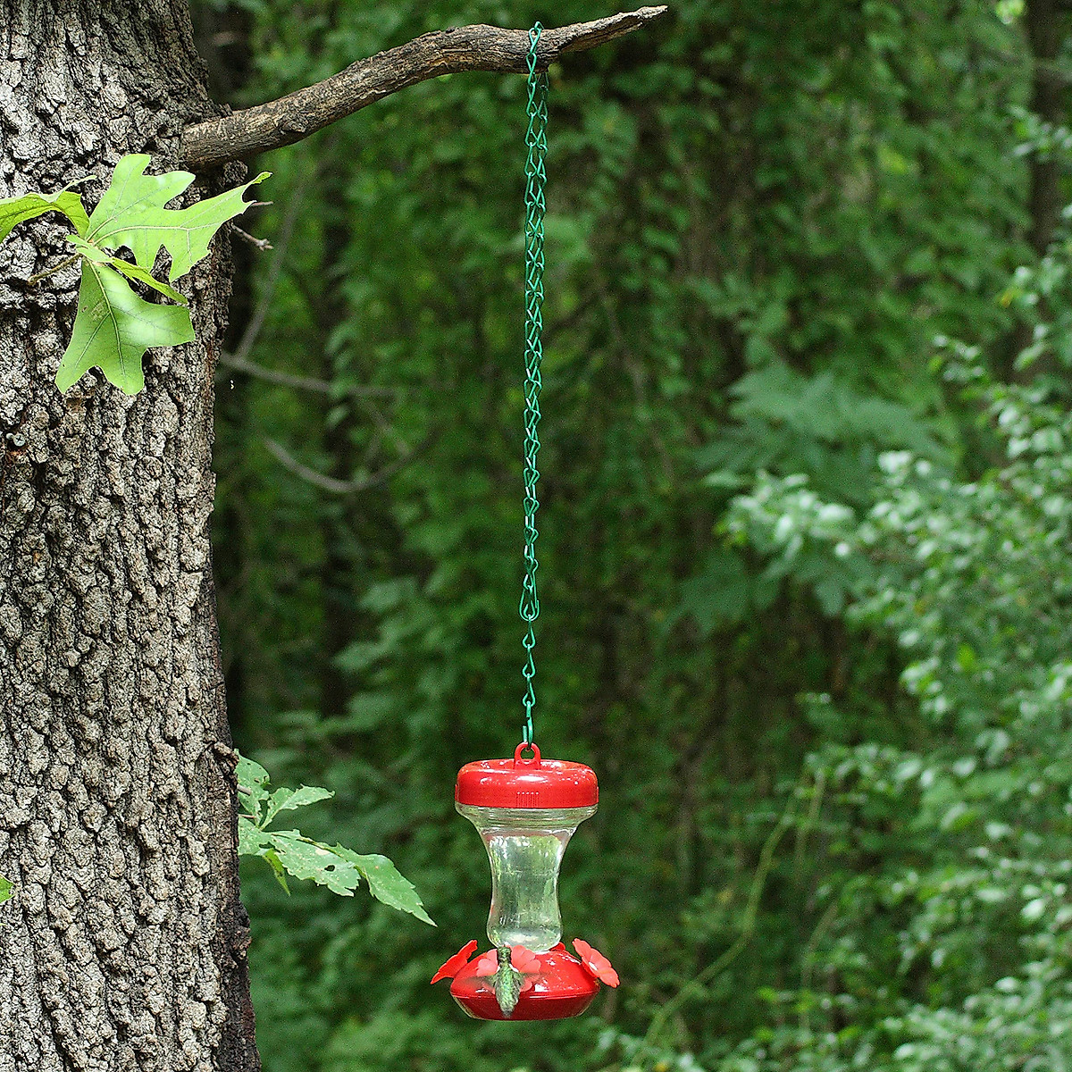 Perky-Pet 65 Hanging Chain for Bird Feeder, 33-Inch