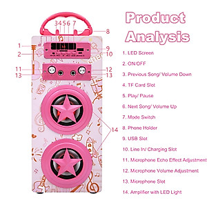 IndeCool Kids Bluetooth Karaoke Machine with 2 Microphones, Rechargeable Remote Control Wireless Karaoke Speaker Portable Karaoke Machine Music MP3 Player for Kids Adult Party Gift (Pink)