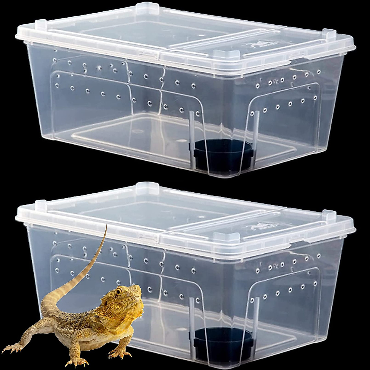 Hamiledyi 2PCS Reptile Feeding Box Snake Breeding Box Transparent Animal Habitat Cage Portable Plastic Turtle Transport Container for Bearded Dragon Lizard Spider Frog Scorpion Gecko 12.6 x 8.6 x 5.9