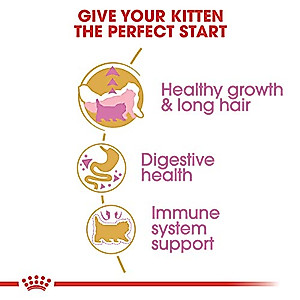 Royal Canin Feline Breed Nutrition Persian Kitten Dry Cat Food, 3 lb