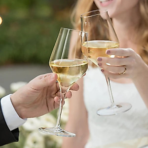 Luigi Bormioli Supremo Bordeaux Stemglasses (Set of 2), 18.5 oz, Clear