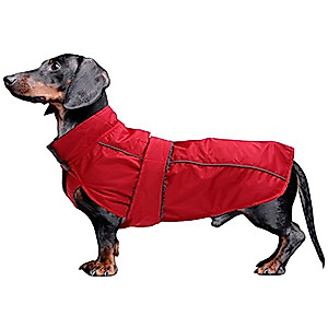 Dachshund Coat Waterproof, Perfect for Dachshund Sausage, Puppy Winter Jacket with Padded Fleece Lining, Outdoor Dog Clothing with Adjustable Bands and Underbelly Protection - Red - XS