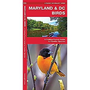 Maryland & DC Birds: A Folding Pocket Guide to Familiar Species (Nature Observation North America)