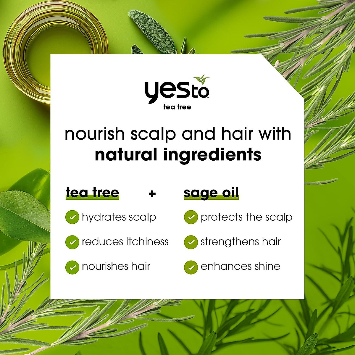 Yes To Tea Tree Shampoo with pH Balancing Formula, Nourishing Sage Oil, for Dry, Itchy Scalp Relief, Natural, Vegan & Cruelty Free, 12 Fl Oz