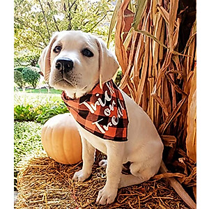 Halloween Dog Bandana -Orange Plaid Pet Scarf
