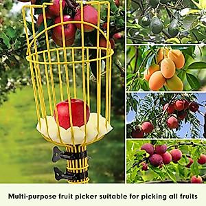 INFLATION Fruit Picker Tool,Apple Picker Pole with Basket,5.5 FT Adjustable Fruit Picker Pole with Basket Telescoping,Sturdy Basket with Foam Pad for Picking Avocado Acorn Lemon Pear Mango