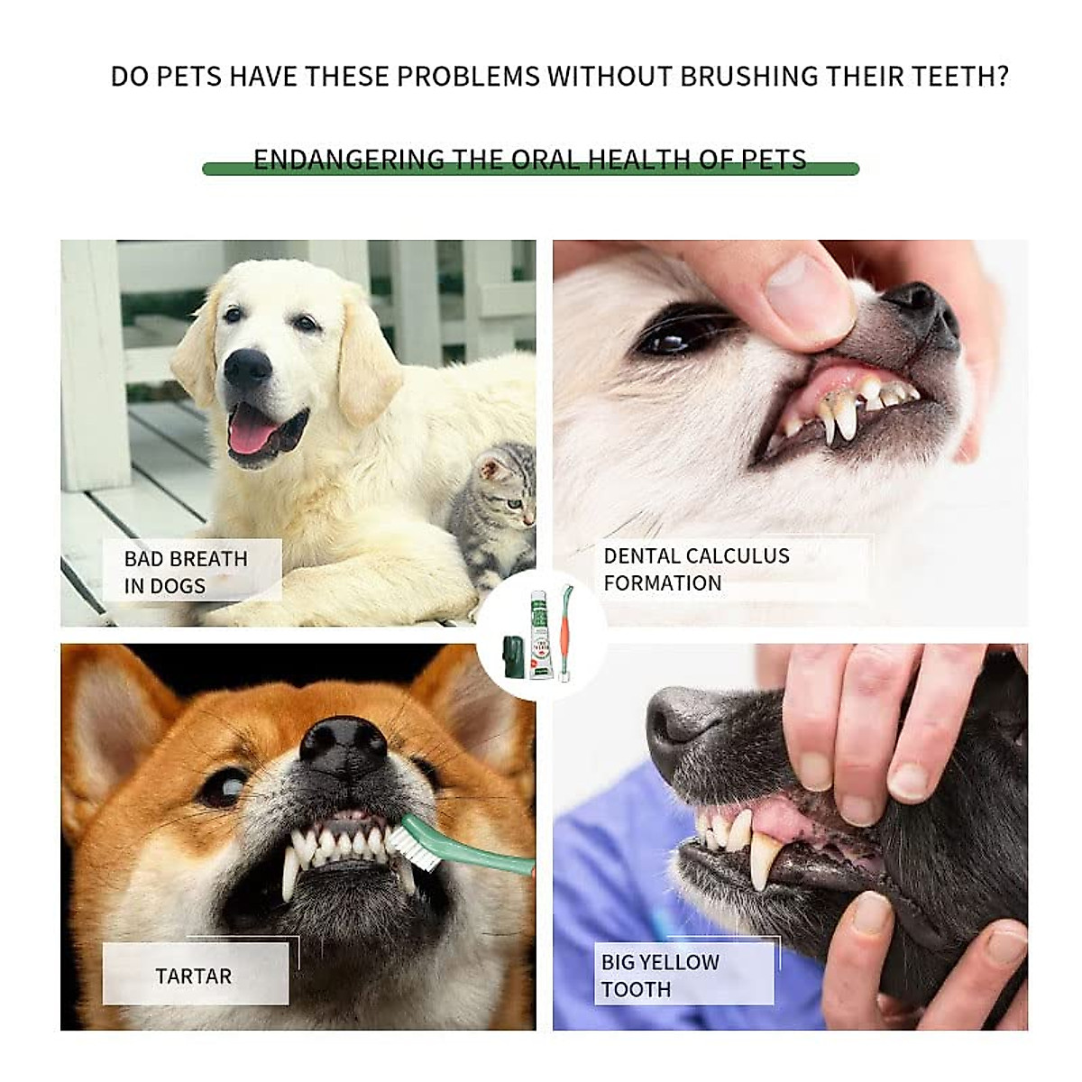 windhunt A Series of Sets for Pets Tooth Protecting and Cleaning. Including Toothpaste,Toothbrush and Fingerbrush.Preventing Tartar Buildup and Plaque.Beef Flavor.(Large)