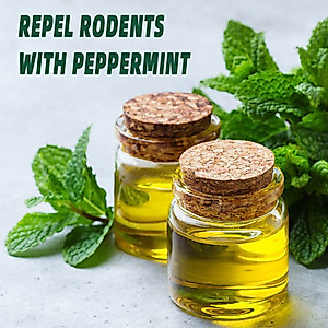 SUAVEC Rodent Repellent for Car Engines, Mouse Repellent for Cars, Rats Deterrent Under Hood, Rat Repellent for House, Peppermint Oil to Repel Mice and Rats, RV Mice Repellent, Mint Mice Away -2 Pack