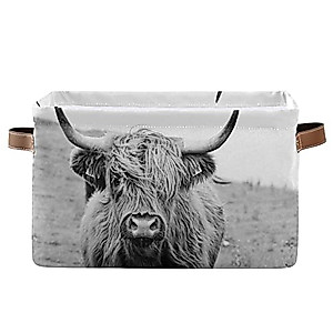 Kigai Highland Cow Storage Baskets Rectangle Foldable Canvas Fabric Organizer Storage Boxes with Handles for Home Office Decorative Closet Shelves Clothes Storage