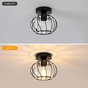DELIPOP Semi Flush Mount Ceiling Light, Dimmable Small Metal Cage Hallway Light Fixtures Ceiling Lamps, Farmhouse Ceiling Light Fixture, Industrial Crystal Chandelier for Corridor Bathroom Kitchen