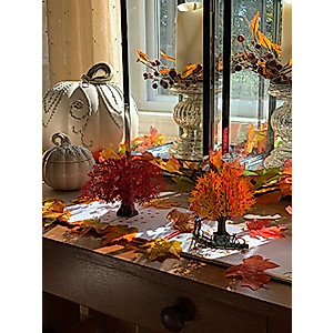 CUTE POPUP - Autumn Pop Up Card with Romantic Couple and Maple Design, Anniversary Pop Up Card - 1st Wedding Anniversary Card, Valentines Day Card - The Perfect 3D Valentine Present for Couple, Wife, Girlfriend, Husband