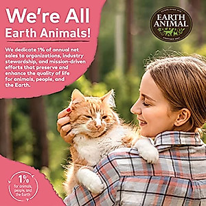 EARTH ANIMAL No Hide Stix Salmon Flavored Natural Rawhide Free Dog Chews Long Lasting Dog Chew Sticks | Dog Treats for Small Dogs and Cats | Great Dog Chews for Aggressive Chewers (3 Pack)