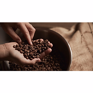 Traveler Icon Tumbler 12 oz.