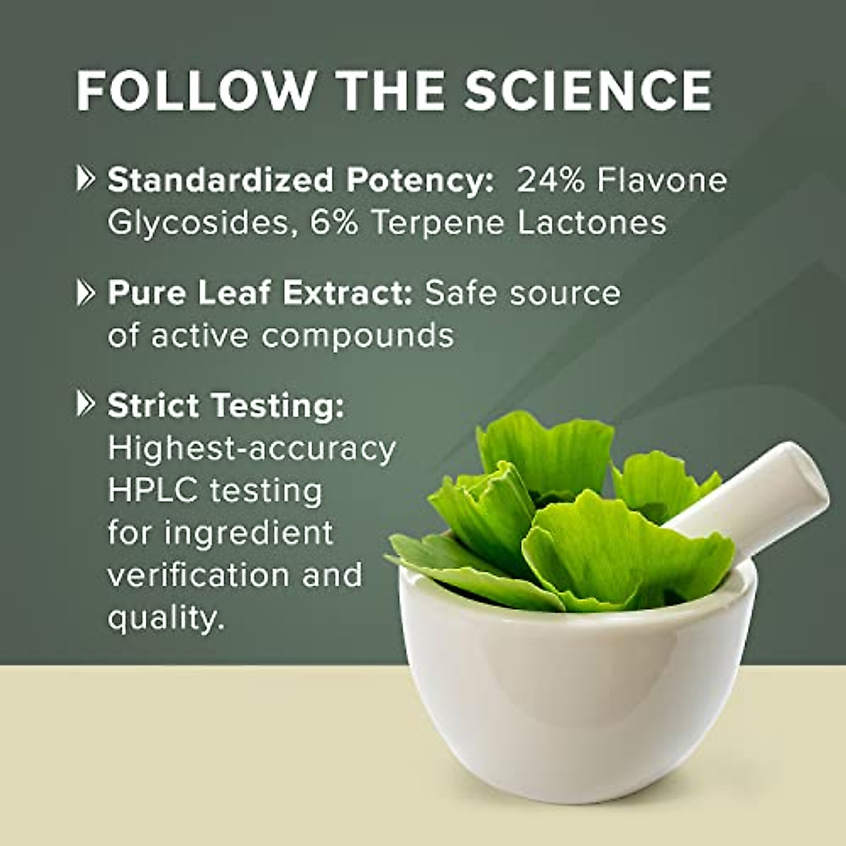 Prominent Nutrition Ginkgo Biloba 120mg - Ginkgo Biloba Leaf Extract, Herbal Supplements to Help Support Memory & Focus- Vegan, Non-GMO, Gluten-Free, Soy-Free, 60 Day Supply