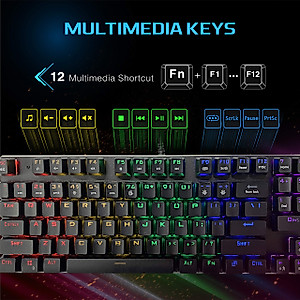 SHAVA TKL Mechanical Gaming Keyboard, Special 89 Keys Layout Keyboard with Numeric Keys, 100% Anti-Ghosting, RGB LED Rainbow Backlit, Tenkeyless Keyboard for Windows PC/Mac Games (Blue Switch)