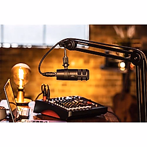 Audio-Technica AT2040 Hypercardioid Dynamic Podcast Microphone (at 2040), XLR,Black