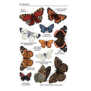 Cotswold Way: Chipping Campden to Bath - Planning, Places to Stay, Places to Eat; Includes 44 Large-scale Walking Maps (British Walking Guides)