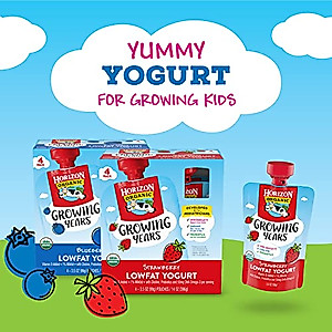 Horizon Organic Growing Years Low Fat Yogurt Pouch with 50mg DHA Omega-3 and Choline, Strawberry, 3.5 oz., 4 Pack