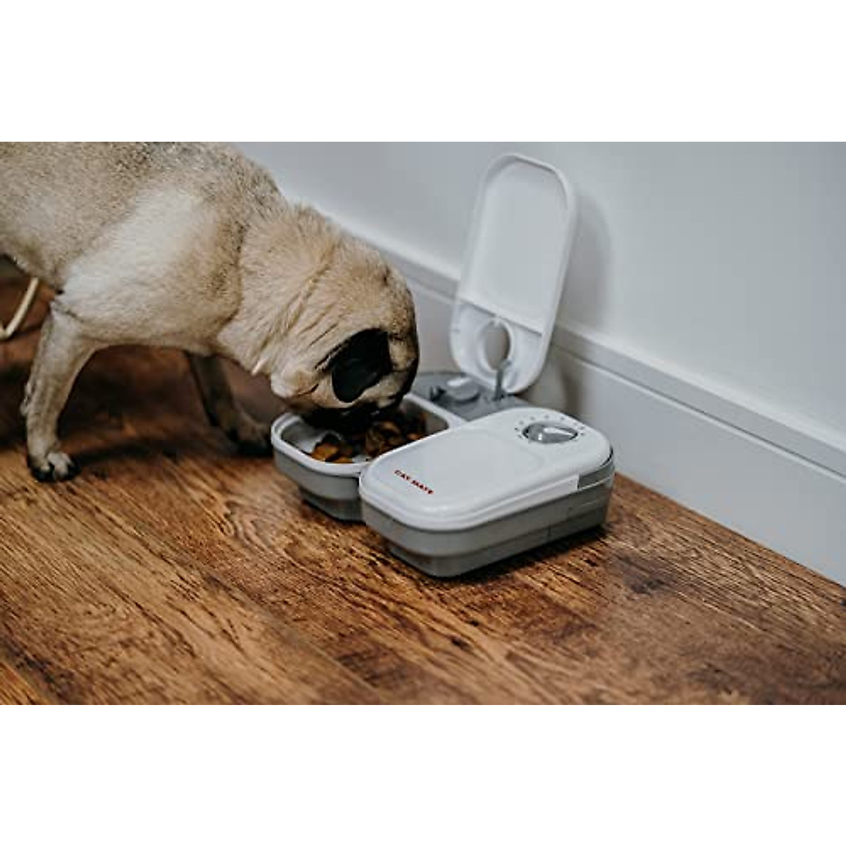 Cat Mate C200 2 Meal Automatic Pet Feeder for Cats and Small Dogs with Ice Pack