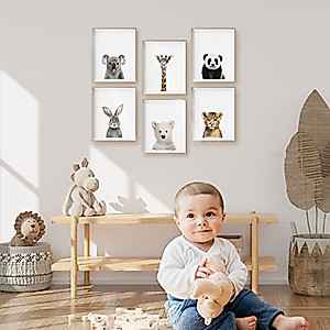 Designs by Maria Inc. Animal Posters | Baby Nursery Decor | Baby Room Pictures Art | Cute Animal Pictures | Set of 6 UNFRAMED Wall Prints | Boy & Girl Baby Room Wall Decor Animal Print (8"x10")