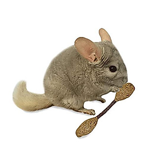 Hay Barbells - Healthy Natural Chew Treat - Oat Hay, Rose Hips, Calendula Flowers, Apple Branches - Rabbits, Guinea Pigs, Chinchillas, Degus, Hamsters, Rats, Squirrels & Other Small Pets