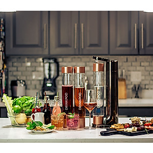 Fizzpod Sparkling Wine Making Kit Includes 2 C02 Cylinders and 3 One Liter Bottles. Sparkling Wine Fizzpod Limited Edition