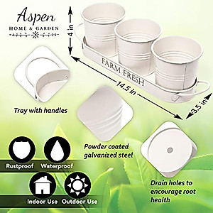 Herb Pots with Tray Set, Indoor Herb Planter, Farmhouse Inspired Decorative Herb Garden Planter with Drain Holes for Healthy Plants, Ideal for Indoor Windowsill