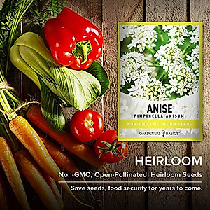 Anise Seeds for Planting is A Heirloom, Non-GMO Herb Variety- Pimpinella Anisum Herb Seeds Great for Indoor and Outdoor Gardening by Gardeners Basics