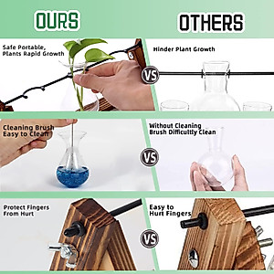 XCC Plant Propagation Station - 3 Bulb Vase, Perfect Home and Office Decor, Ideal Gift for Women, Beautiful Garden Decoration, Great Birthday Gift for Planter Lover