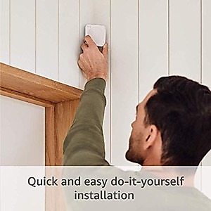 Ring | Hippo Smart Home Security Kit, 9-Piece: Ring Alarm with Indoor Cam, Flood/Freeze sensor, Smoke/CO listener and Echo Dot