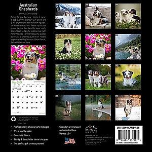 MICASA Australian Shepherds 2024 Wall Calendar 12 Month | 12" x 24" Open | Thick & Sturdy Paper | Giftable | Calendar 2024