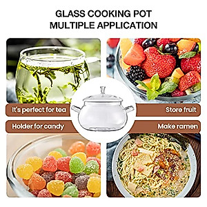 Glass Cookware Glass Pot, 2.5 Quart Glass Saucepan Simmer Pot With Lid, Microwave, Stove and Dishwasher Safe Borosilicate Glass pitcher