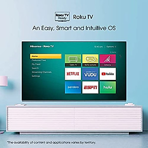 Hisense 32-Inch Class HD 720p Smart LED TV H4030F Series Motion Rate 120 Game Mode DTS TruSurround Sound Compatible with Alexa & Google Assistant 32H4030F3 (Renewed)