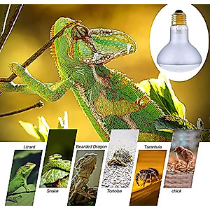 Qixivcom 2-Packs 50W Reptile Heat Lamp Basking Bulb E26/E27 110V UVA Basking Spot Daylight Heat Lamp Glass Heating Lamp Reptile Heater for Bearded Dargon Turtle Aquarium Aquatic Lizard Chicken Coop