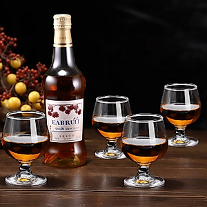 ZOOFOX Set of 6 Small Brandy Snifters, 5 oz Shot Glasses, Cute Brandy Cognac Glasses for Scotch, Bourbon, Tequila, Whisky or Spirit