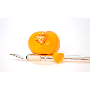 Nules Clementine Starter Plant. Citrus Clementina. 3" - 5"