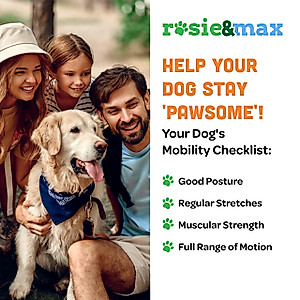 ROSIE & MAX Hip and Joint Supplement Chews for Dogs, Glucosamine and MSM Canine Joint Support, Joint Health Support for Small, Medium, and Large Breeds, 70 Chews