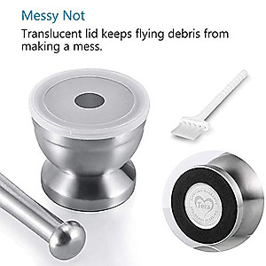 Tera 18/8 Stainless Steel Mortar and Pestle with Brush,Pill Crusher,Spice Grinder,Herb Bowl,Pesto Powder