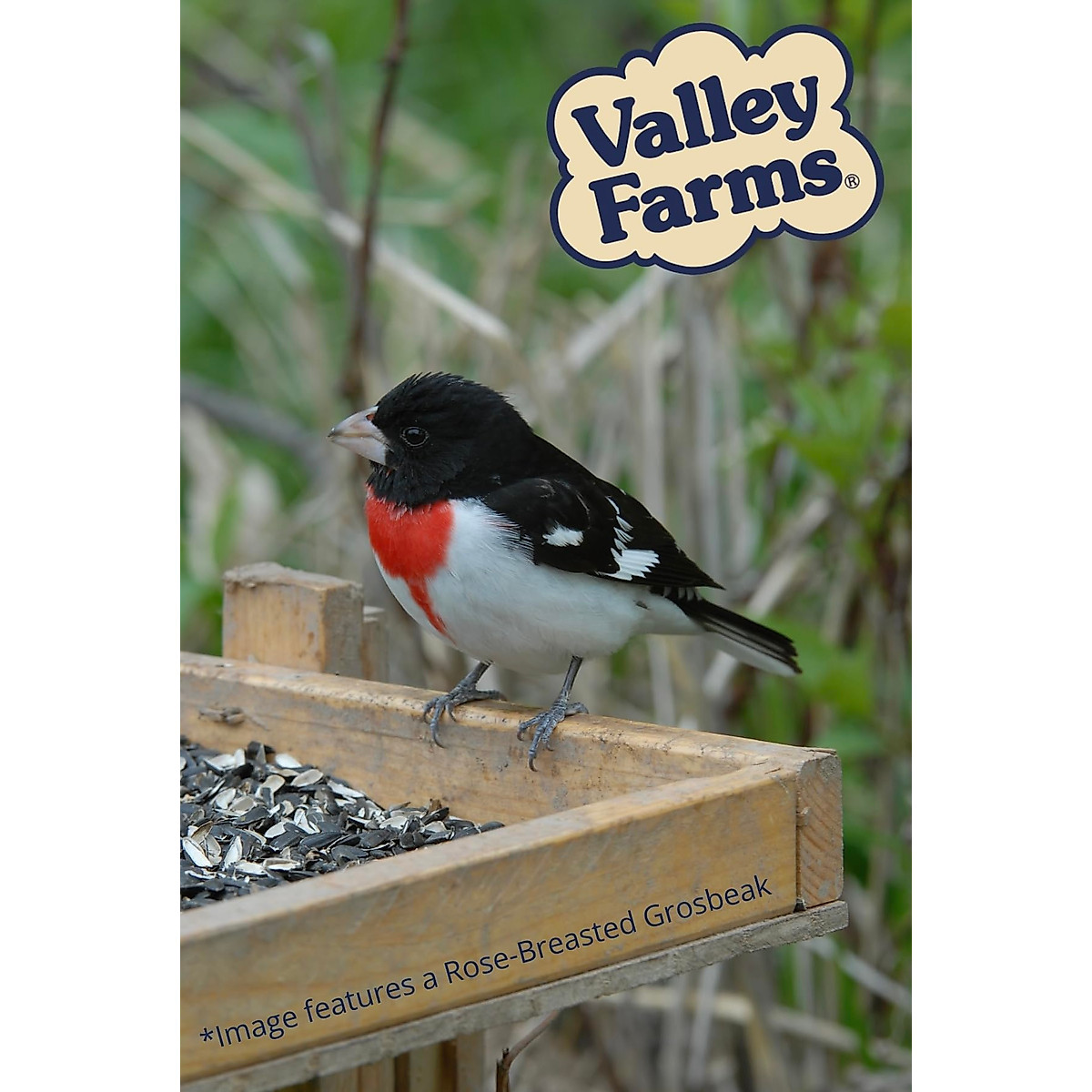Valley Farms Cardinal Mix Wild Bird Food for Outside Feeders, Bird Seed with Black Oil Sunflower Seeds and Safflower Seeds, Attract a Variety of Wild Birds, 3 LBS 2-Pack (6 LBS Total)