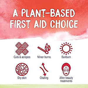 Boiron Calendula Cream for Relief from Rashes, Skin Irritations, Razor Burn, Insect Bites, or Sunburns - Non-Greasy and Fragrance-Free - 2.5 oz