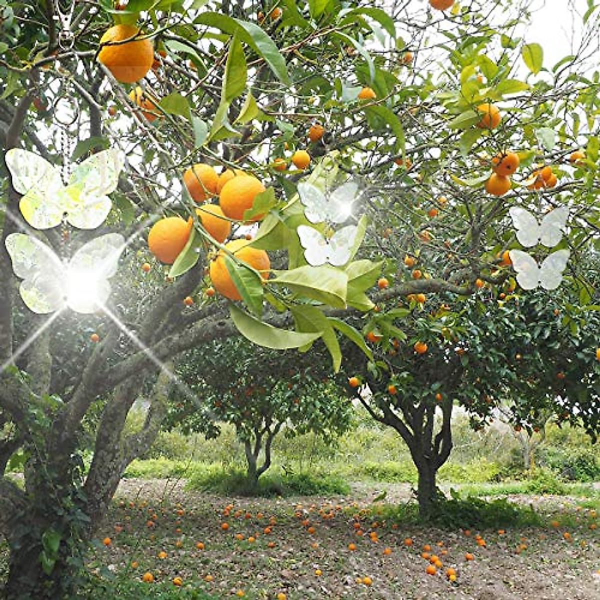 EACILLES Keep Birds Away Mirror Disc, Hanging Reflectors to Scare Birds Away from Your House and Garden, 16 Butterfly Discs