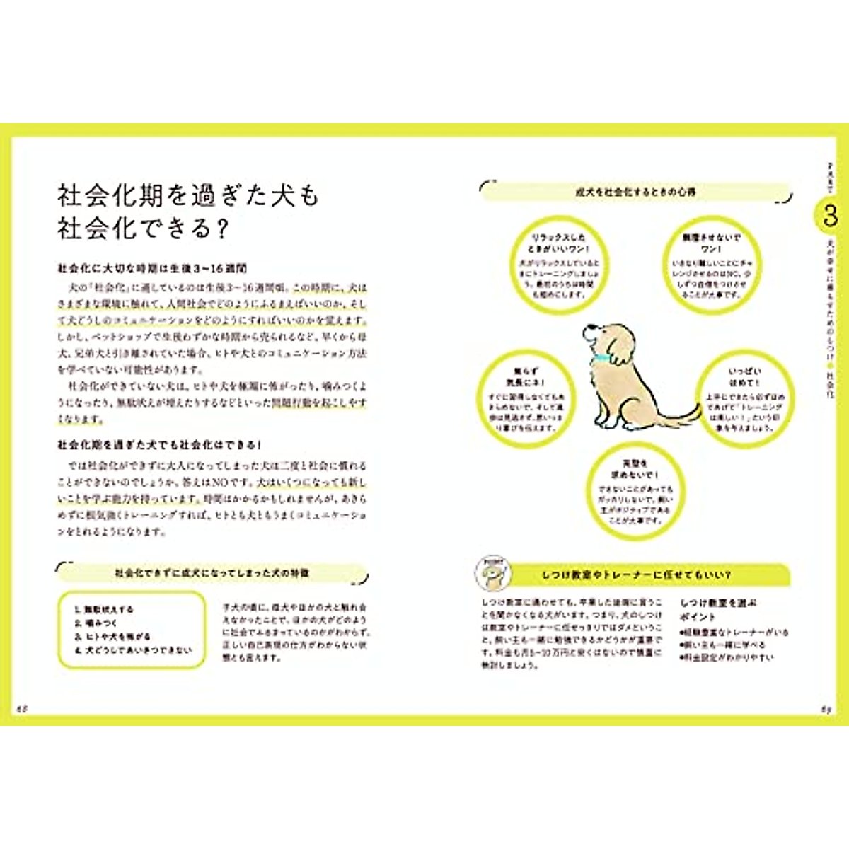 犬のいる暮らし 一生パートナーでいるために知っておきたいこと