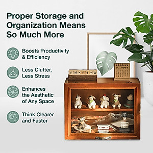 2-Tier Mini Display Cabinet - Wooden Storage Display Organizer with Dust Free Door - Bi-Level Rack & Wood Storage Box for Desk, Table Top or Counter Display - Small Organizing Cabinet for Desktop