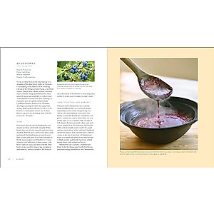 Iwigara: American Indian Ethnobotanical Traditions and Science