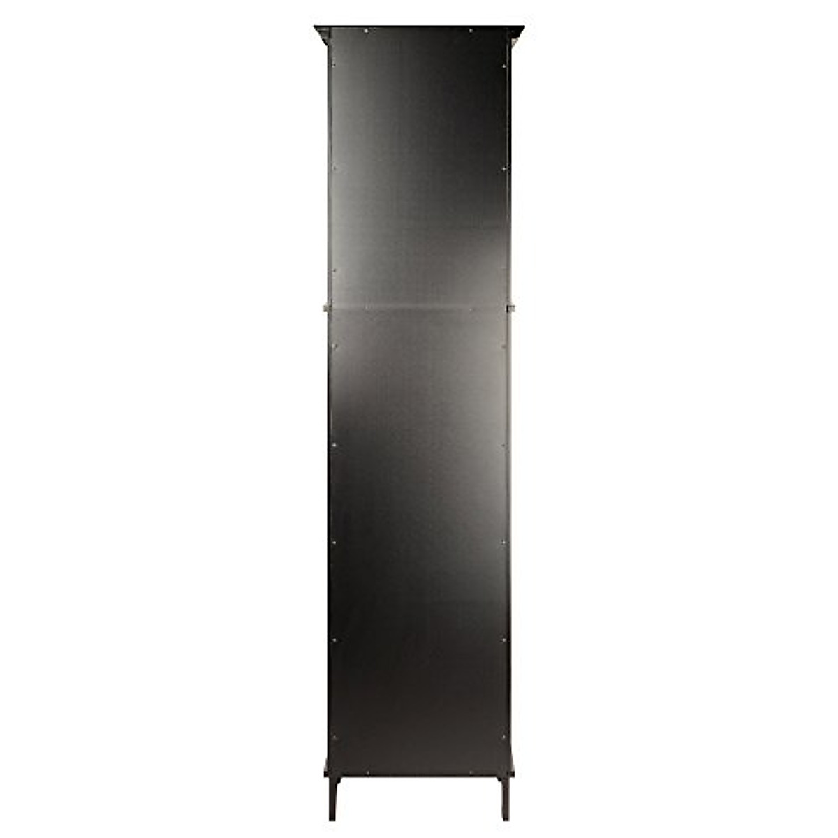 Winsome Wood Alps Tall Cabinet with Glass Door and Drawer