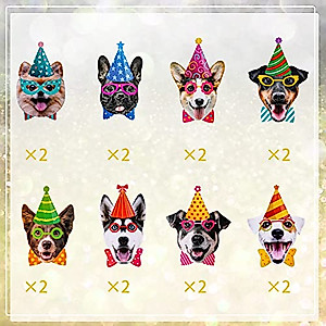 12 Pcs Dog Party Decorations Paw Prints Party Banner for Dog Party Puppy Paw Party Dog Birthday Party Decoration Dog Paw Prints Banners Garlands for Dog Paw Prints Party Pet Dog Birthday Party